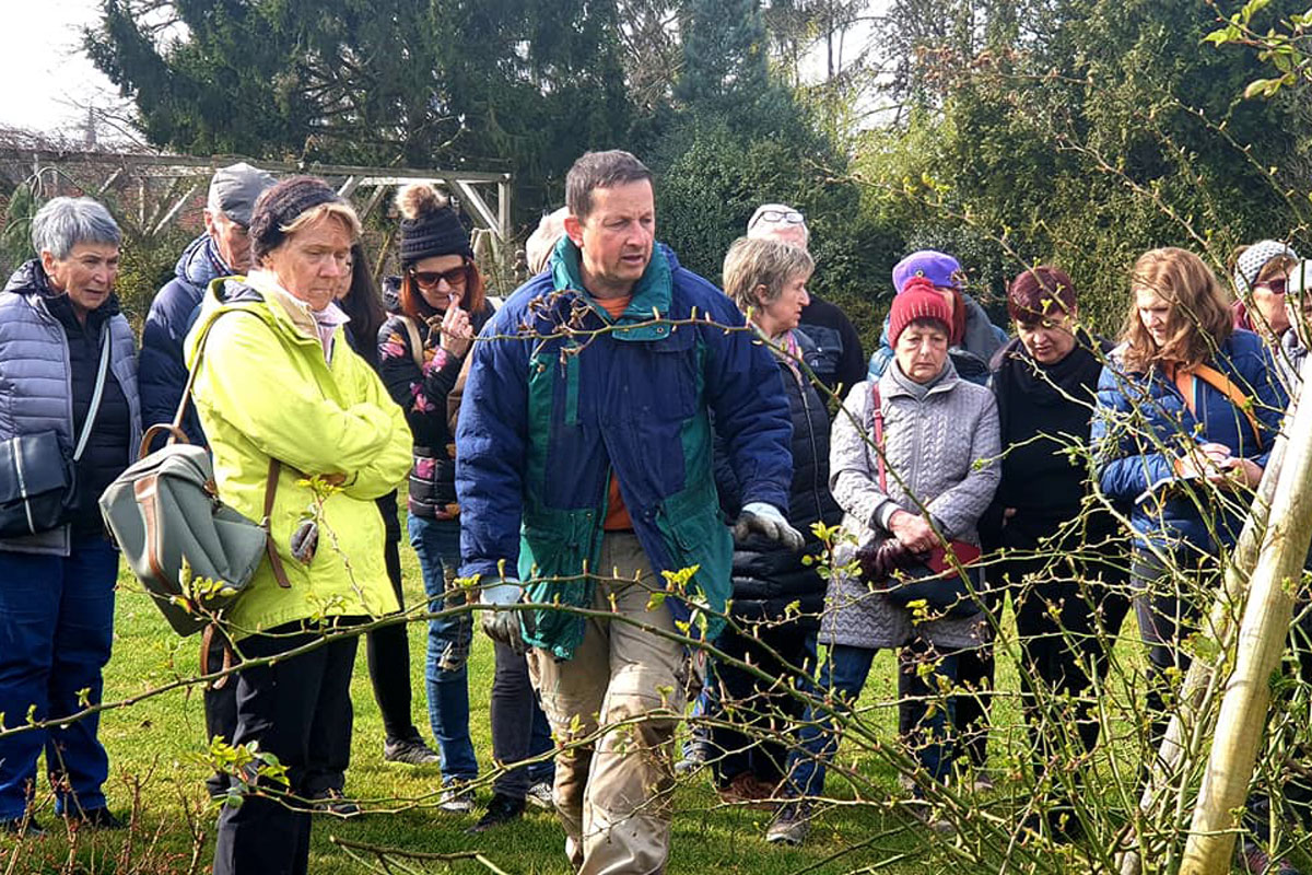 Obrezovanje vrtnic v Arboretumu Volčji Potok – DLVS