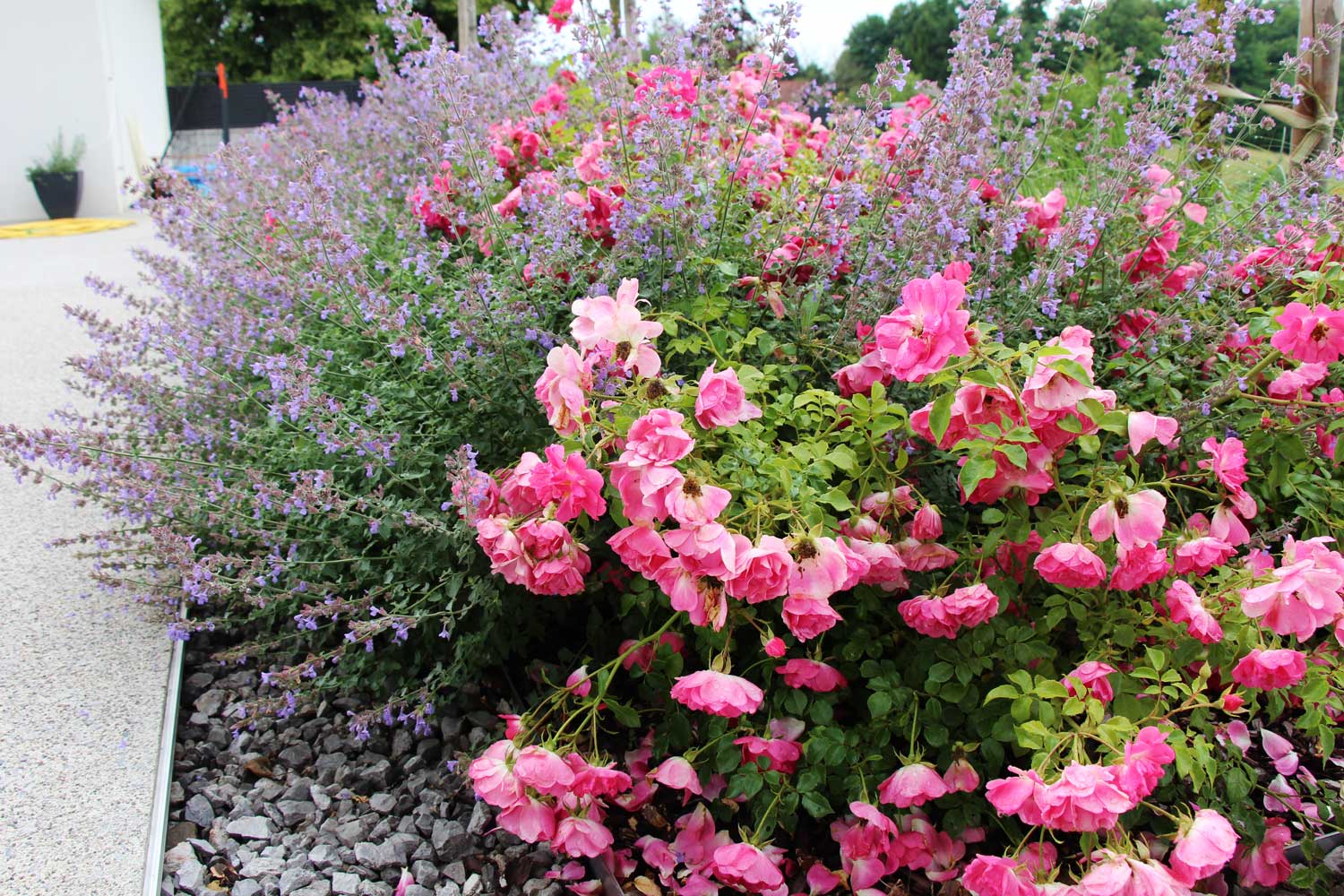 Sprehod po vrtnariji Trajnice Strgar – DLVS